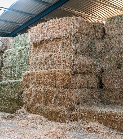 Feeds | Premier Farm & Ranch Supply | Kaplan, Louisiana | Equipment ...